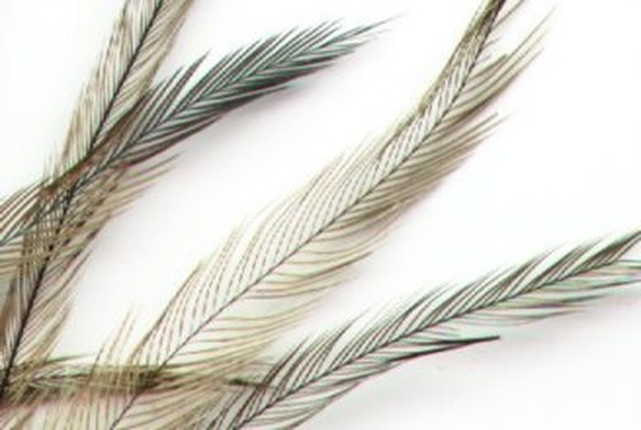 Small Emu Feathers / 1 to 4 Inches Long / Bag of 25 – Uniquely Emu Products